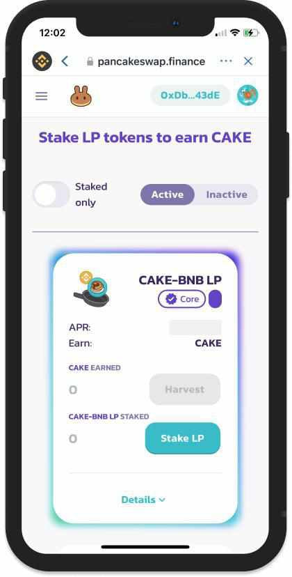 15 steps for Staking Cake on Pancake Swap